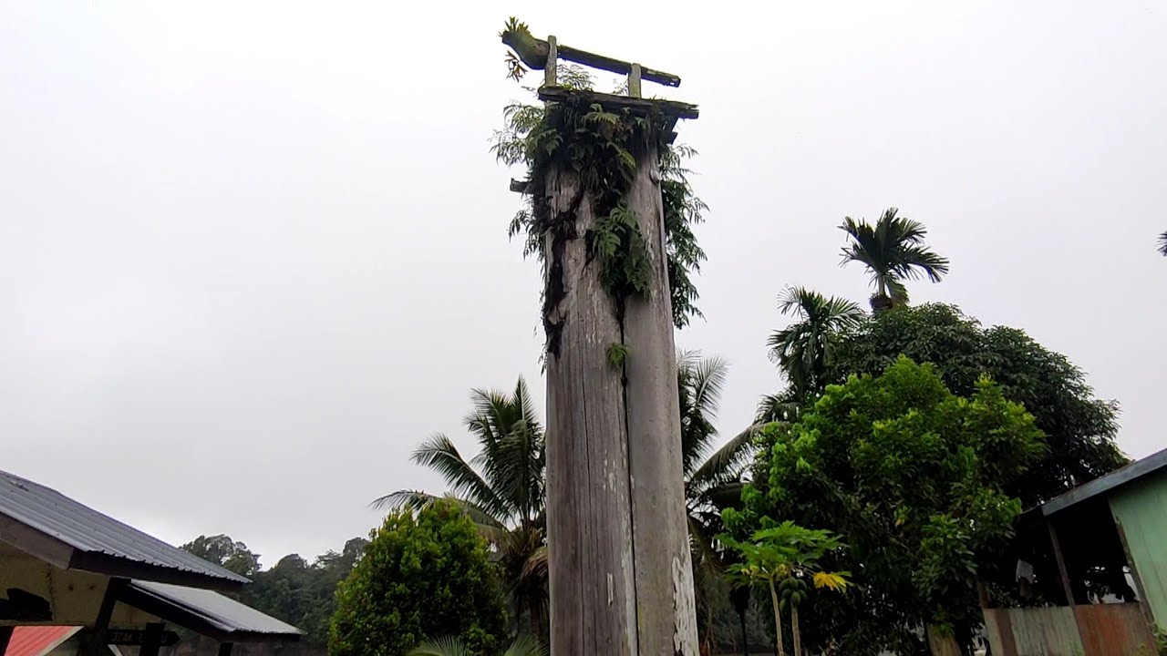 kayu Yang penuh dgn misteri.. UMUR ratusan tahun. (SALUNG)!! Di SEKAPAN ...