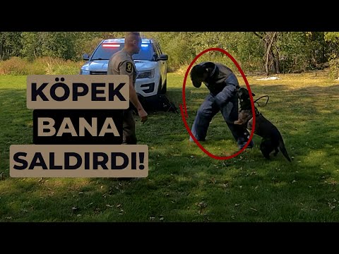 AMERİKAN POLİS KÖPEĞİ BENİ ISIRDI!!