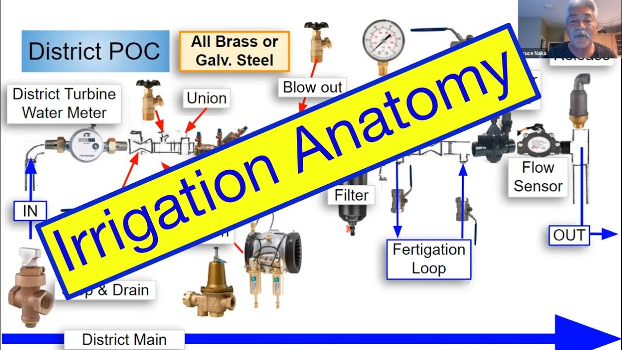 Irrigation Anatomy | Irrigate Better, Part 1 - YouTube