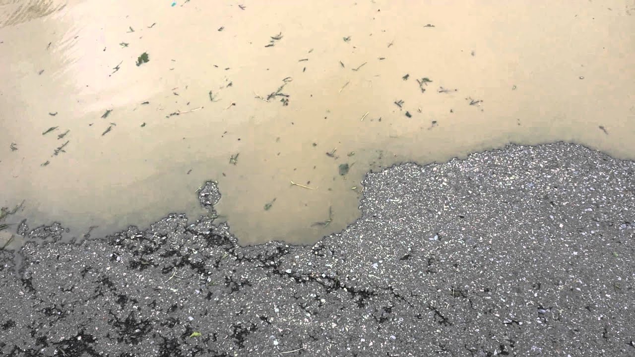 How fast the water was rising in high river flood - YouTube