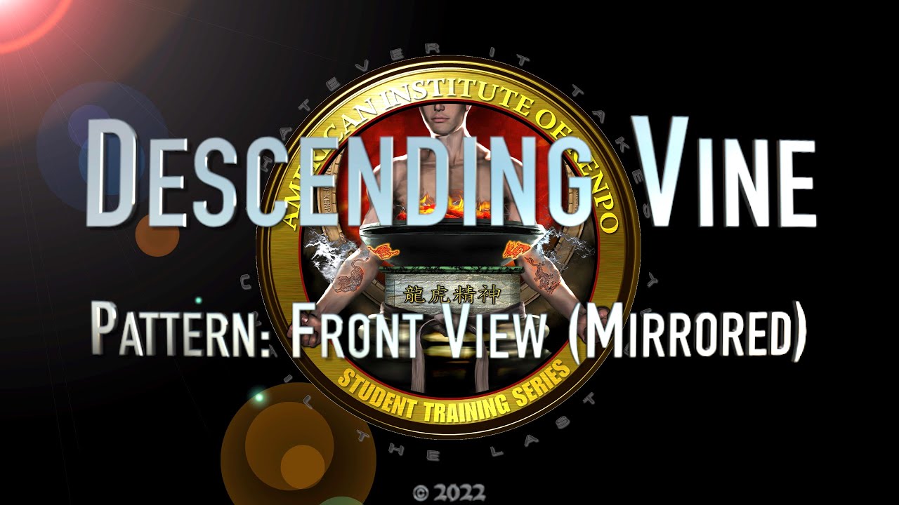 Descending Vine (Front View) American Institute of Kenpo (AIK) - YouTube