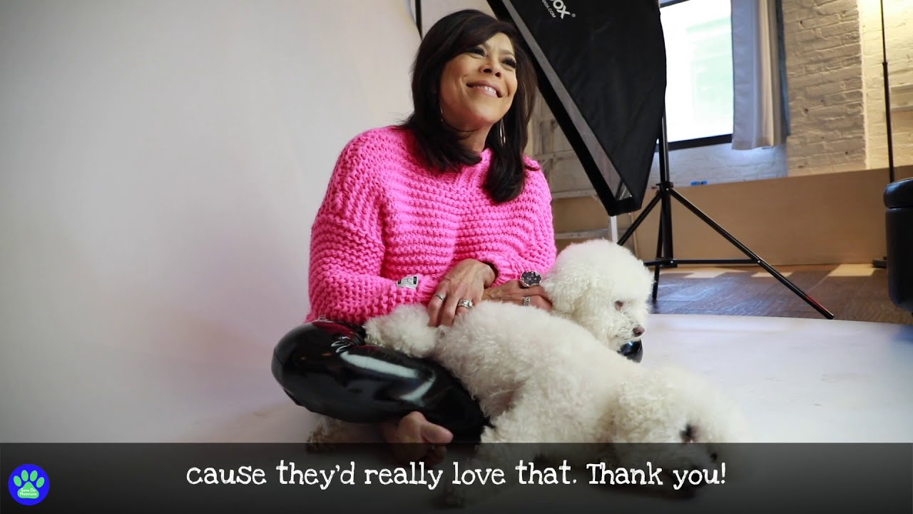 Max, Puff, and Hooman WGN's Micah Materre Has Special Message - YouTube