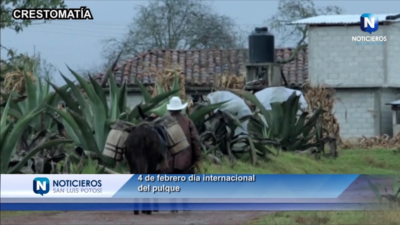 PROCESO DE ELABORACIÓN DEL PULQUE, LA BEBIDA DE LOS DIOSES - YouTube