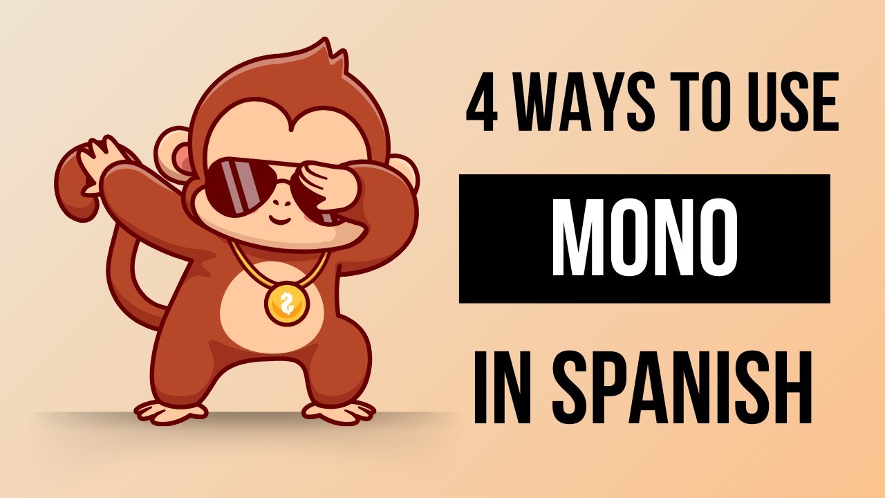 Basic Spanish Vocabulary: 4 meaning of Mono - YouTube