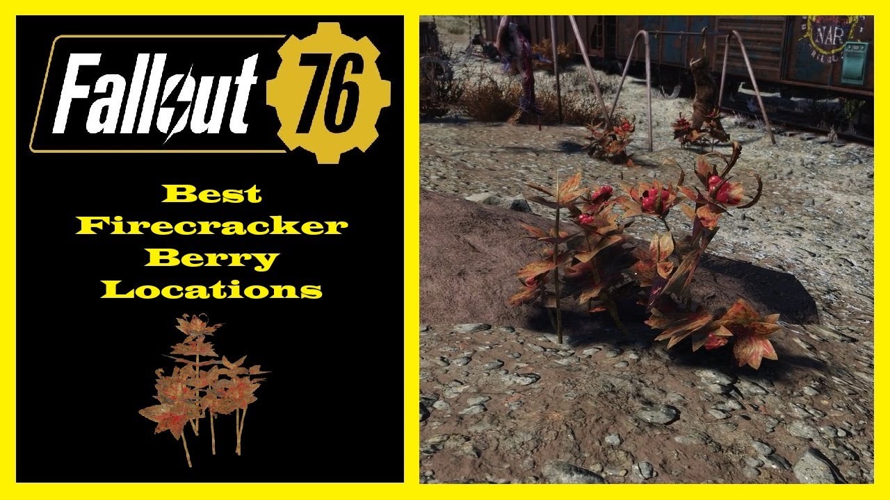Fallout 76 - Best Firecracker Berry Locations - YouTube