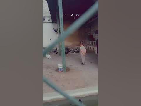 لجين خافت فاش جات توكلهم - YouTube