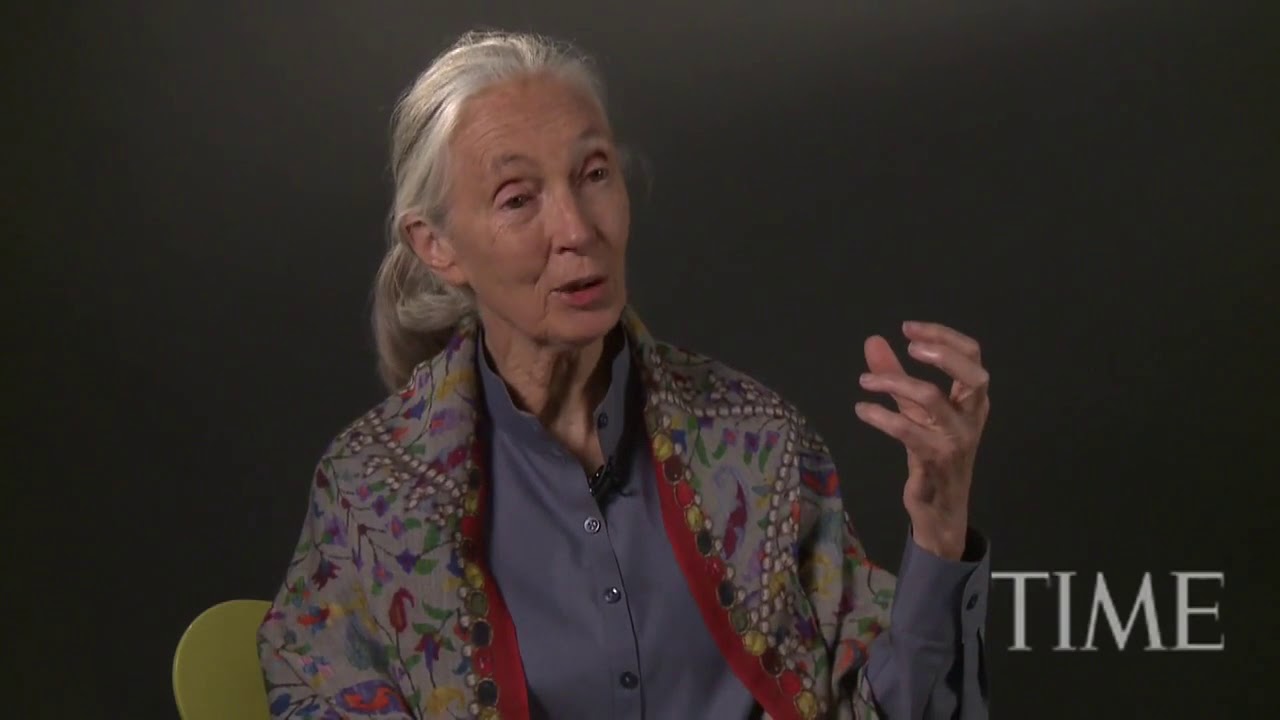 TIME Magazine Interviews Dr Jane Goodall - YouTube