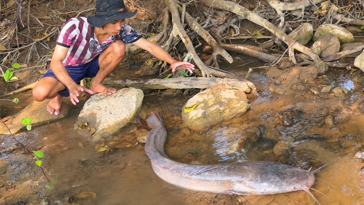 Unbelievable Catching Giant Catfish By Hand In Low River - YouTube