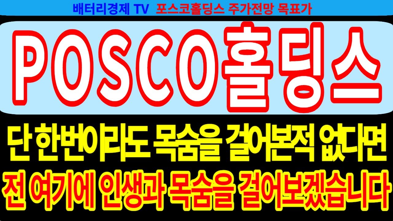 포스코홀딩스 주가전망 단 한 번이라도 목숨을 걸어본 적이 없다면 전 여기에 인생과 목숨을 걸어보겠습니다 포스코홀딩스목표가