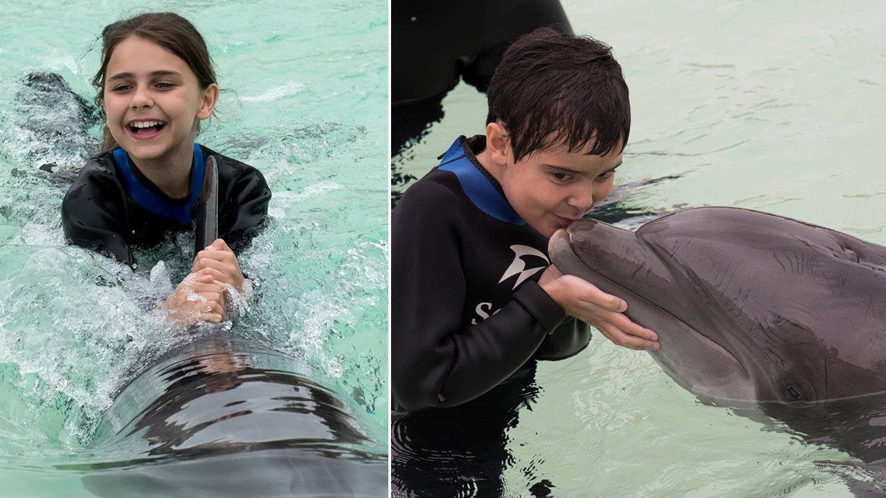 Children's Hospital Patients Swim with Dolphins to Leave Worries Behind ...
