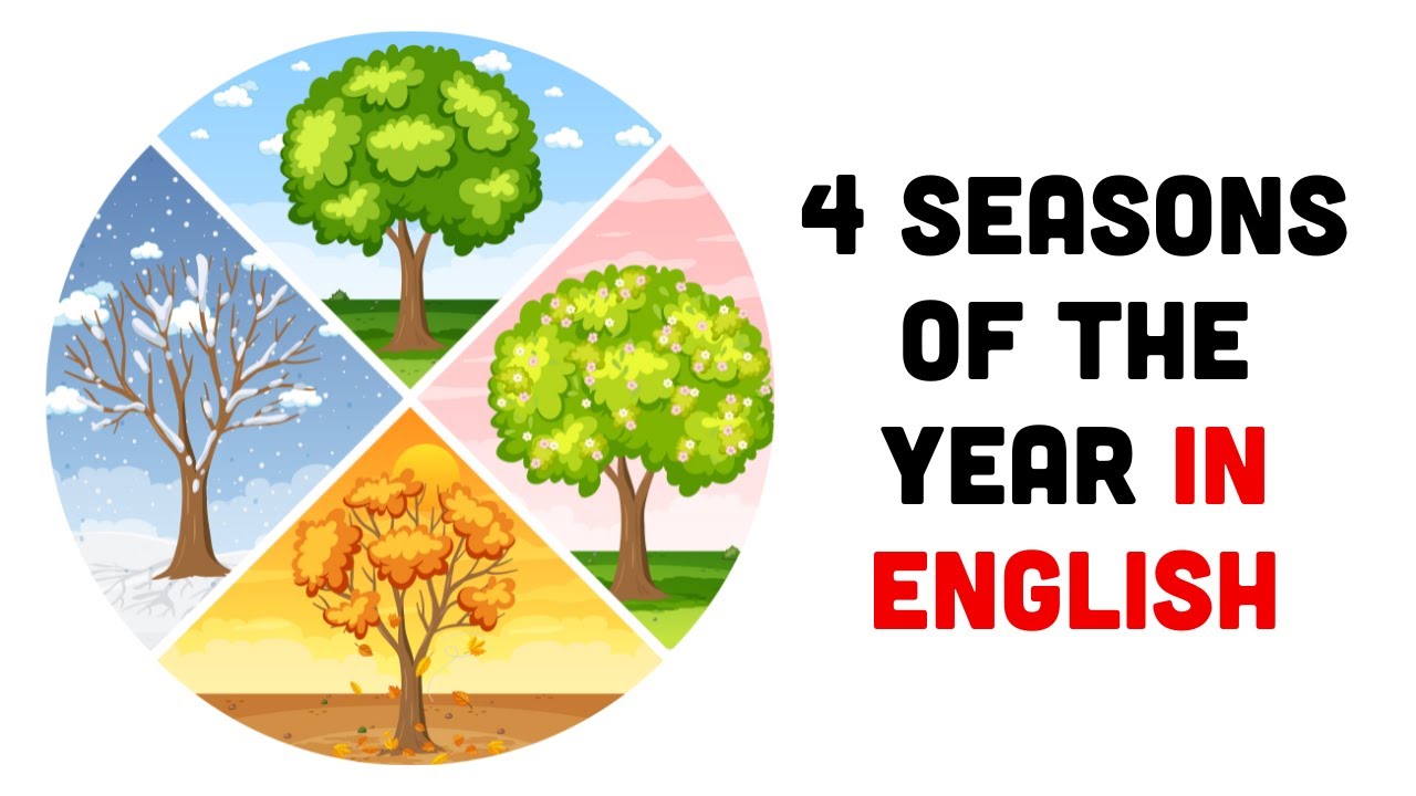 Learn the 4 Seasons of the Year in English: Fun Vocabulary for Kids ...