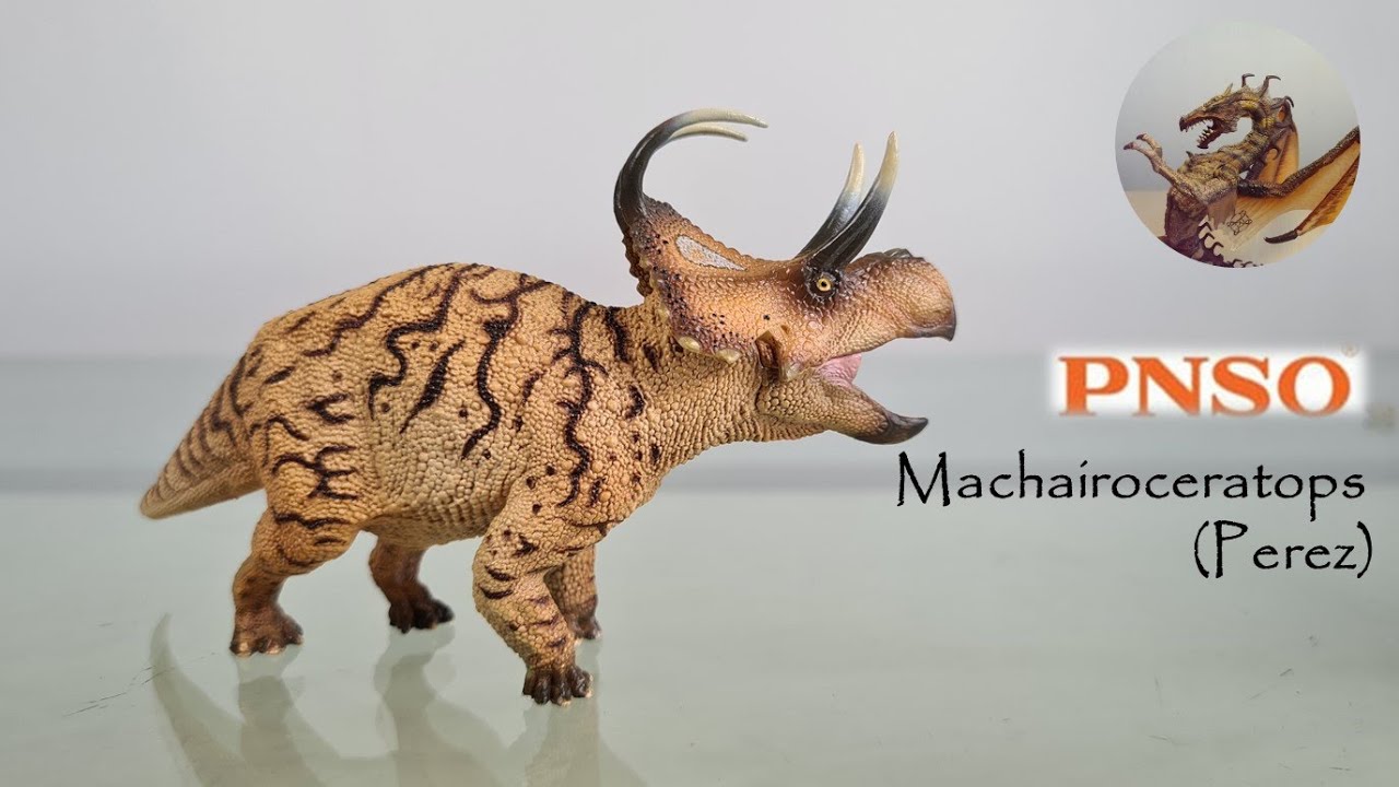 #91 PNSO 2020 Machairoceratops (Perez) Review - YouTube