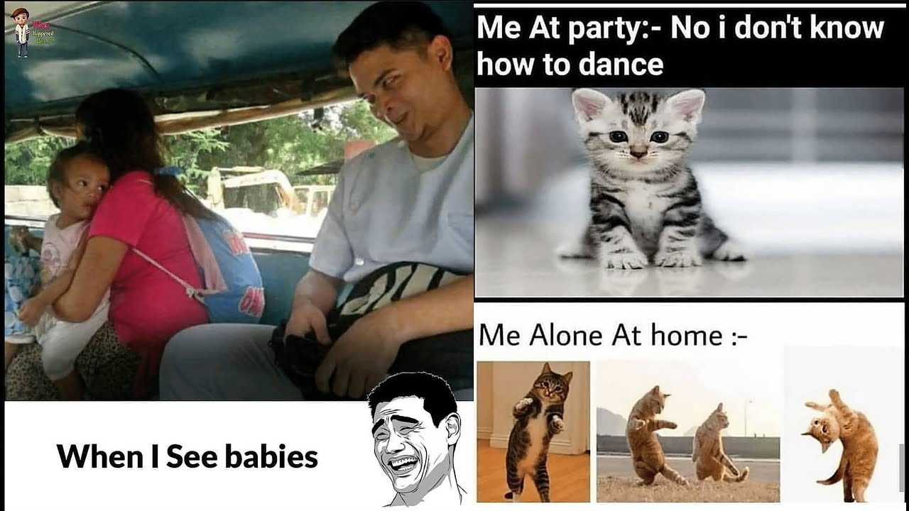 Backbenchers funny memes |Only backbenchers Only backbenchers will ...