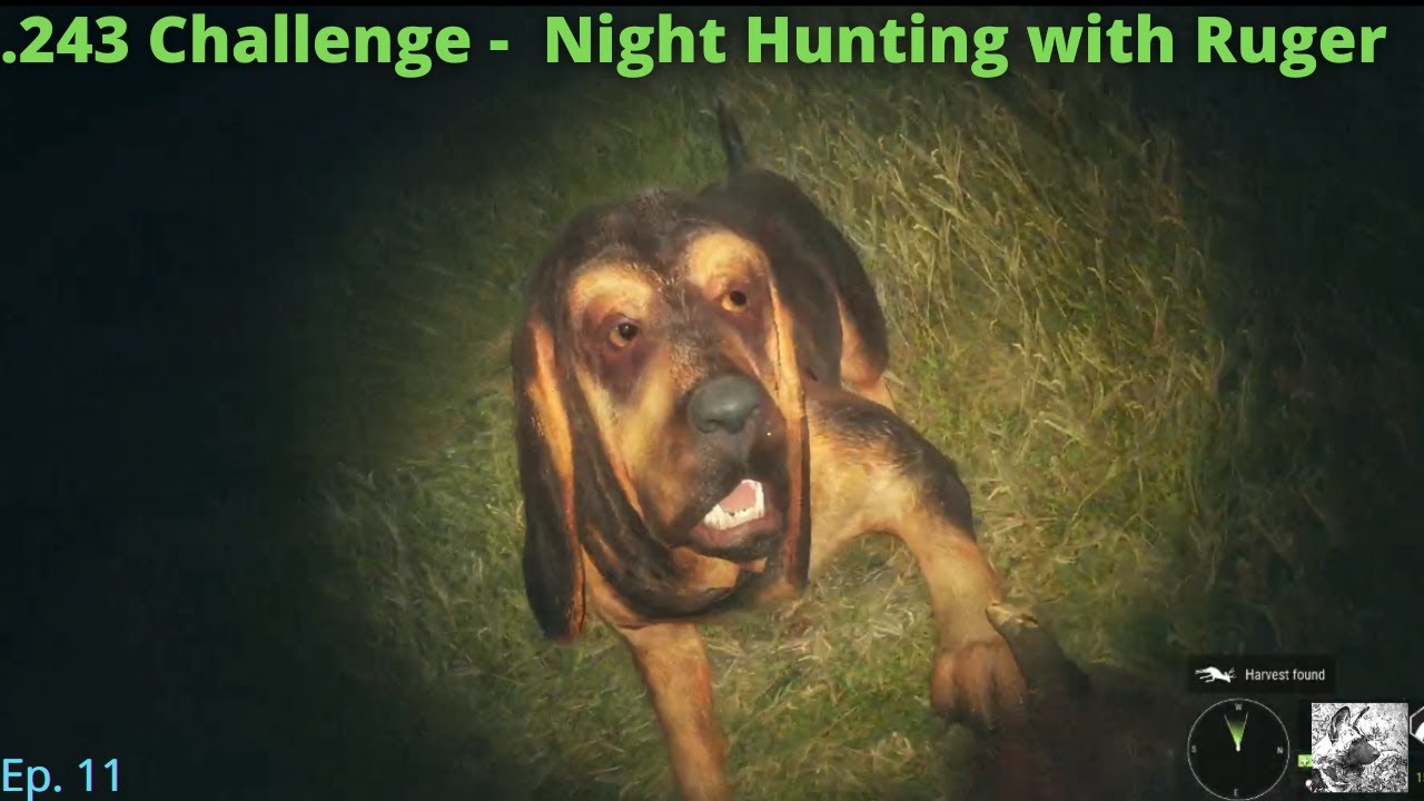 Doc#21 Blacktail at Lake Cheelah (Blacktail) | Ep. 11 |theHunter: Call ...