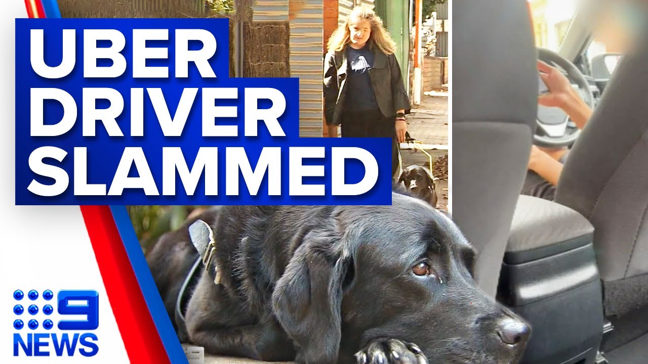Can Uber Drivers Have Dogs