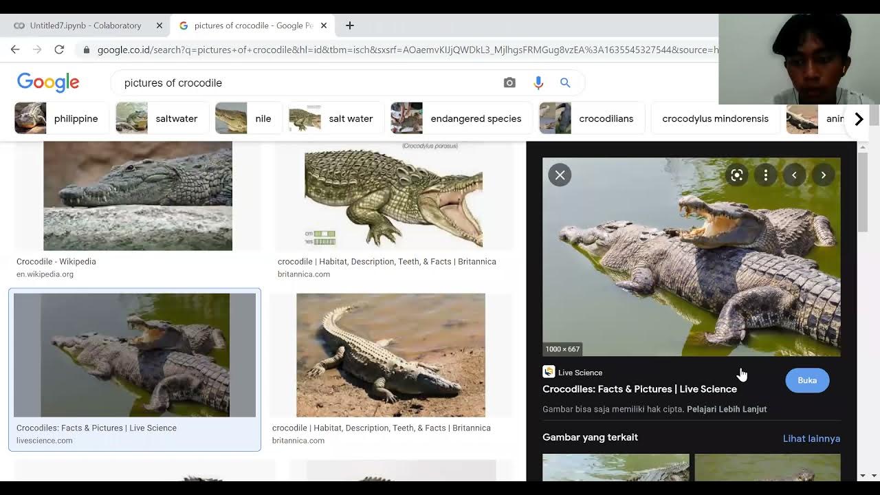 Tensorflow - Deteksi Objek - Pada Gambar - YouTube