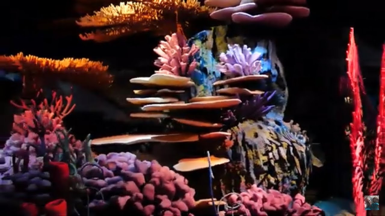 EPCOT's The Seas with Nemo and Friends Full Ride - YouTube
