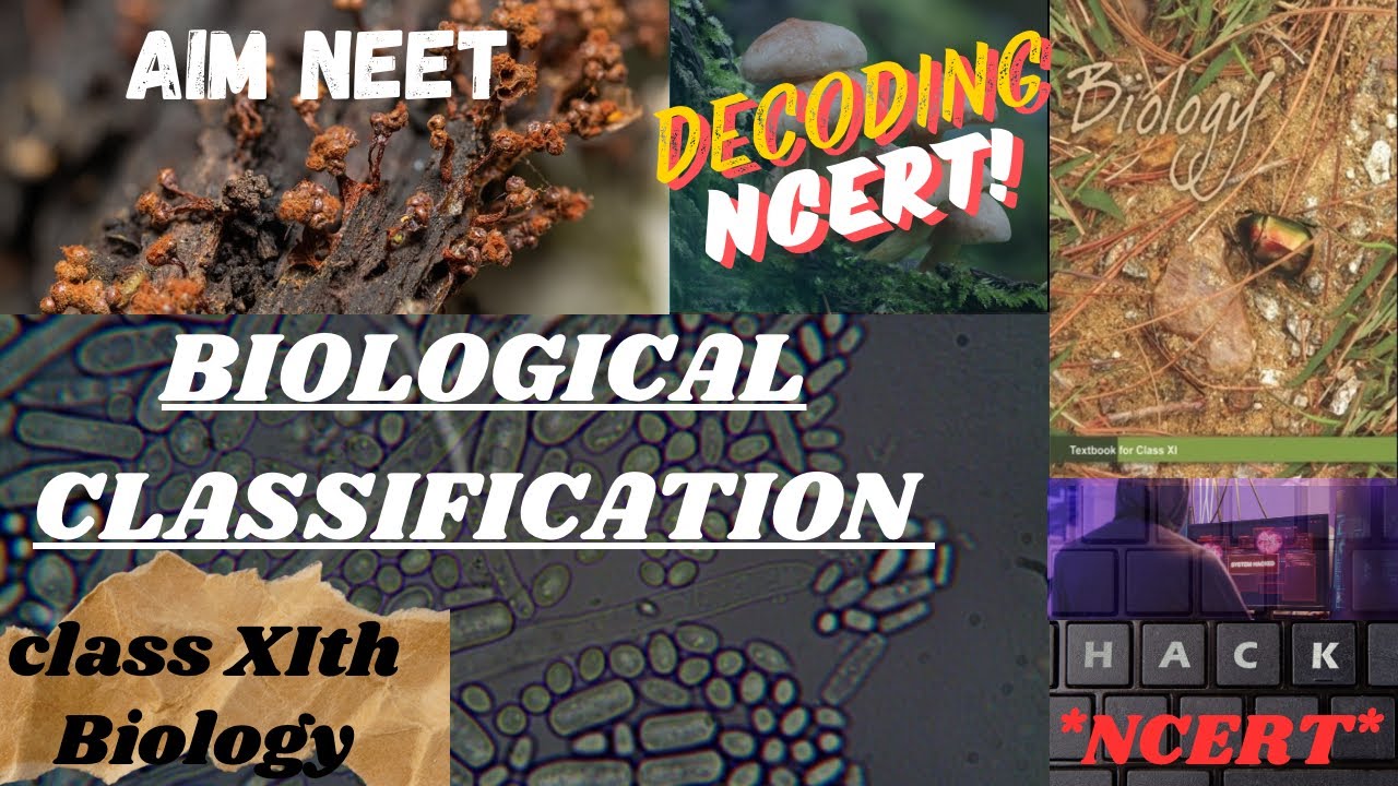 NCERT PREVIEW || Biological Classification || Class XIth Biology || Decoding NCERT - YouTube
