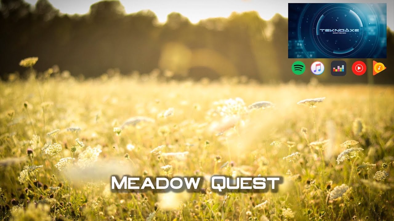 Meadow Quest - Orchestra/Chill - Royalty Free Music - YouTube