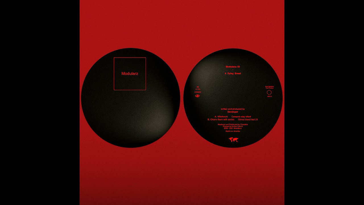 Developer - Charm Them With Sonics [MODULARZ53] - YouTube