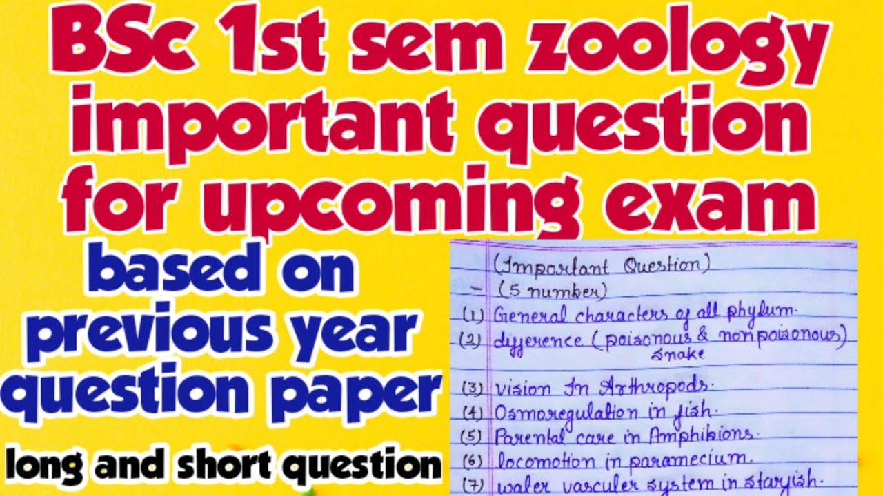 Bsc 1st Sem Zoology Important Questions YouTube bsc-1st-sem-zoology-important-questions-youtube