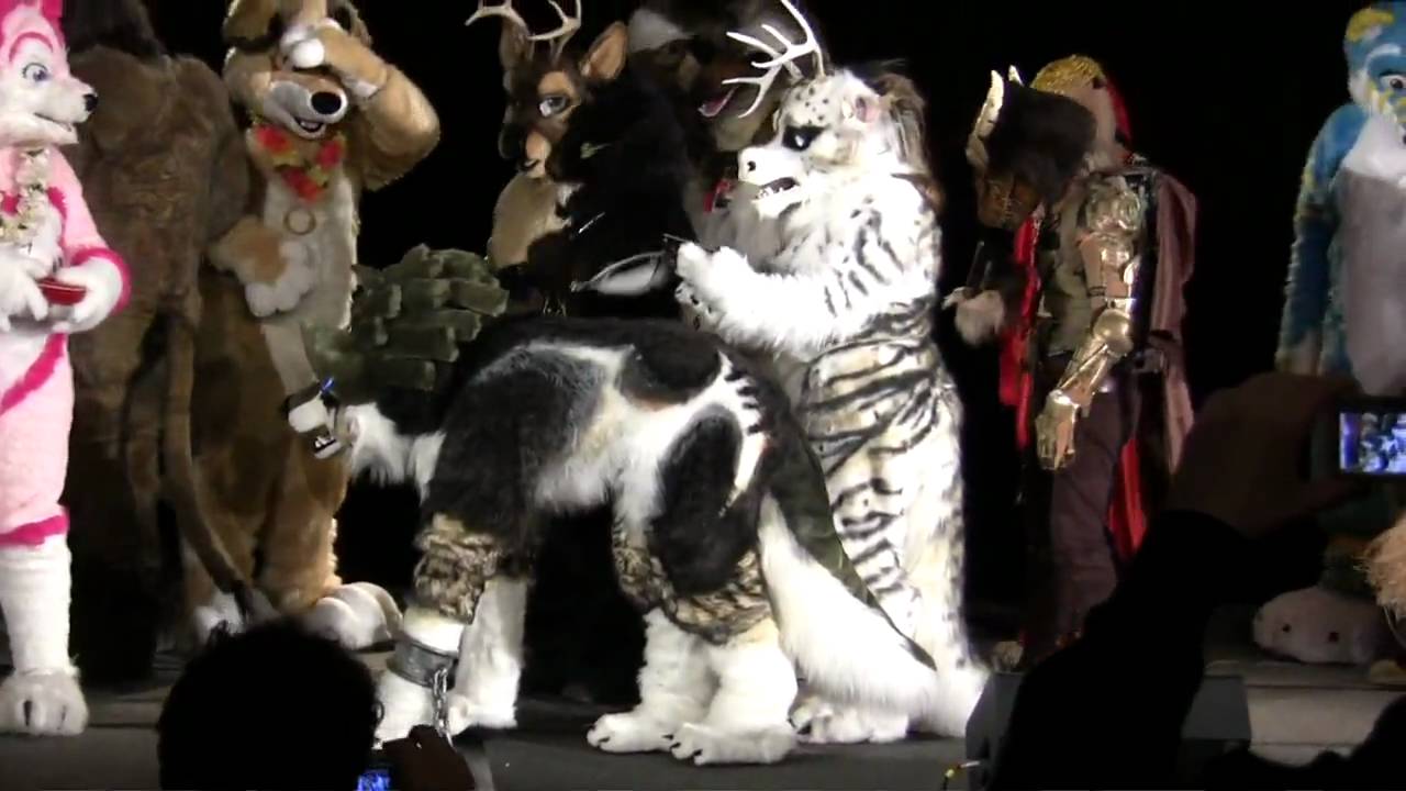 Further Confusion 2009 Fursuit Masquerade in HD FC09 - YouTube