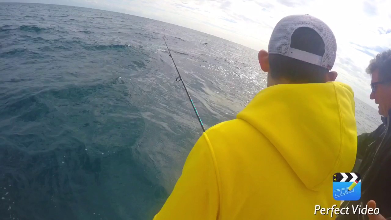 Catching amberjack on light tackle - YouTube