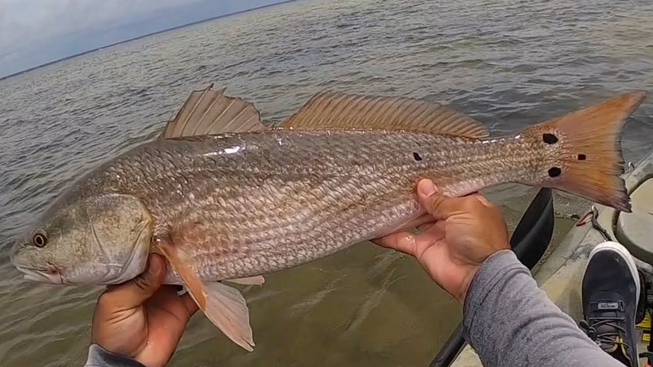 Catching Slot Redfish Along Docks and Flats | Kayak Fishing ...