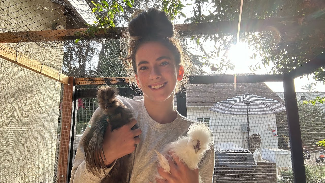 Chicken and Bunny Tour! 🐰🐓🌿 - YouTube