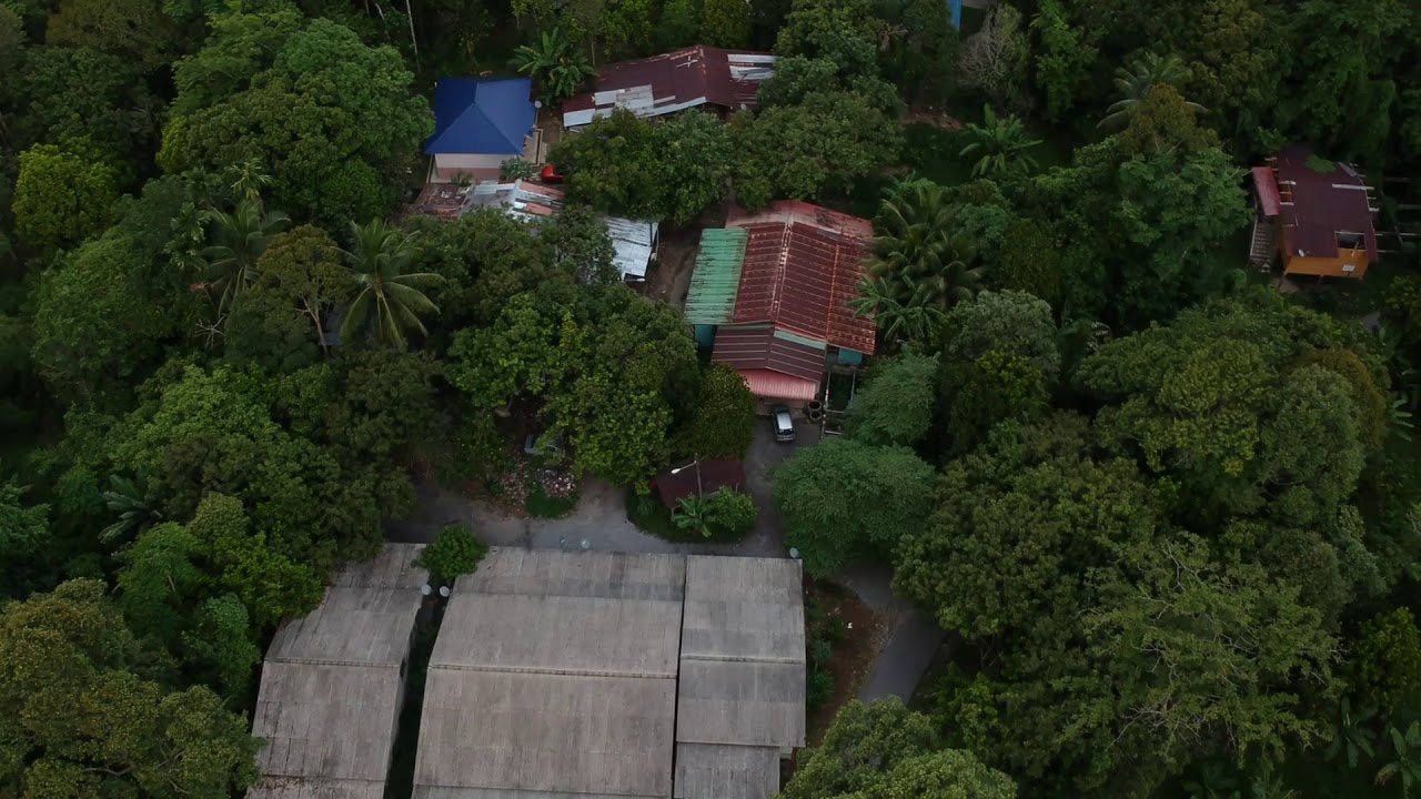 DESA PERMAI LAYAT - YouTube