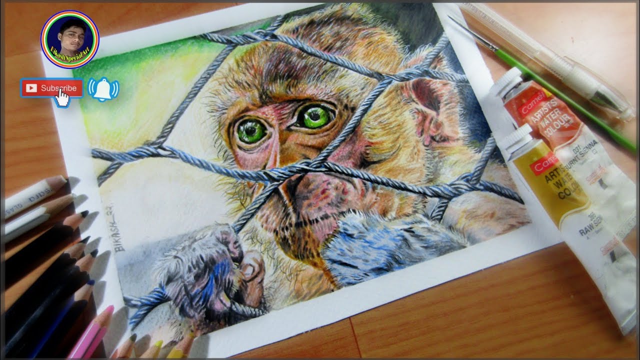 Realistic Monkey Drawing With Colour Pencil and Water Colour || - YouTube