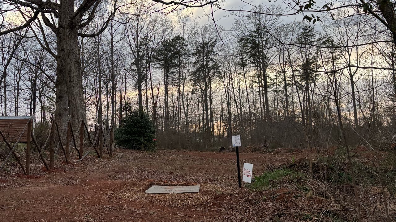 Play all 9 holes of blue tees at my backyard disc golf course! - YouTube