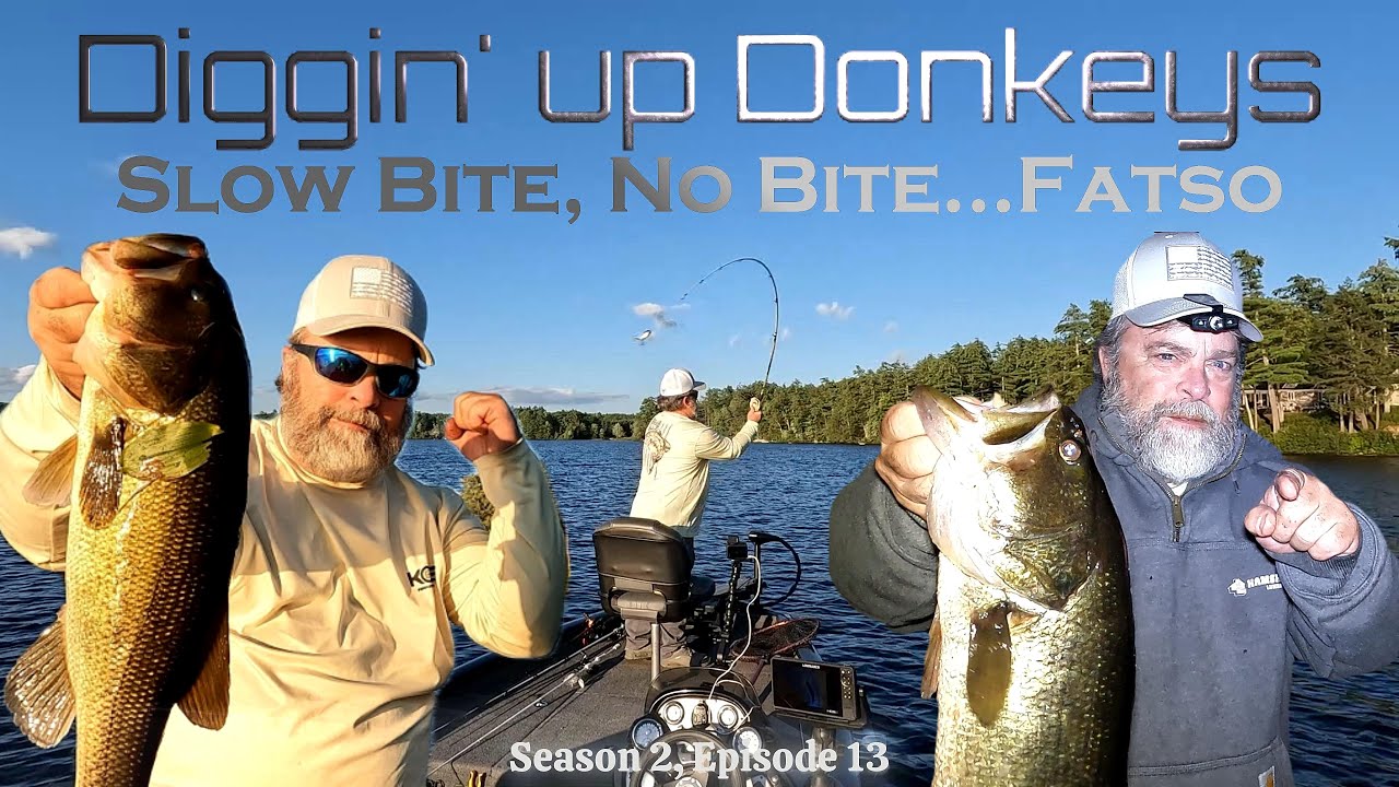 Diggin' up Donkeys (S2, Ep. 13) Bass Fishing Tips, Tackle, & Technique ...