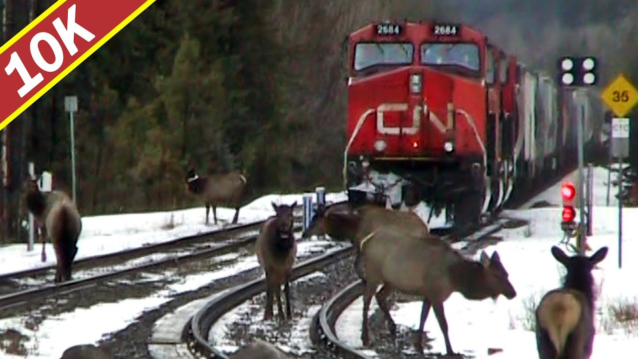 THANKS TO 10K SUBSCRIBERS! Lets Go Back In Time with Tyson's Top ...