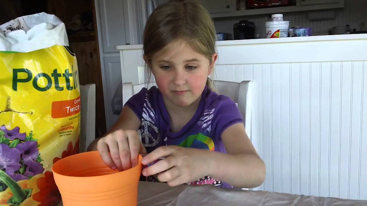 Flipsies: Grace's DIY Seedling Video - YouTube