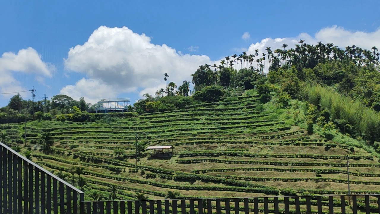 台灣 南投 鹿篙咖啡莊園 Lupin Coffee Estate Nanton Taiwan - YouTube