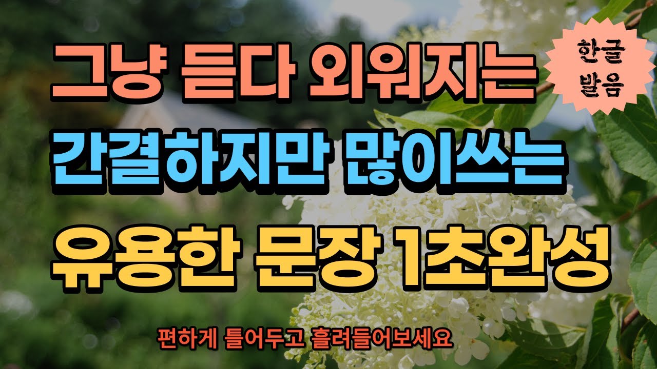 초보영어 편하게 듣다가 1초면 그냥 외워지는 아주 간결하면서 유용하게 쓰이는 기초영어회화 초보영어회화 원어민발음