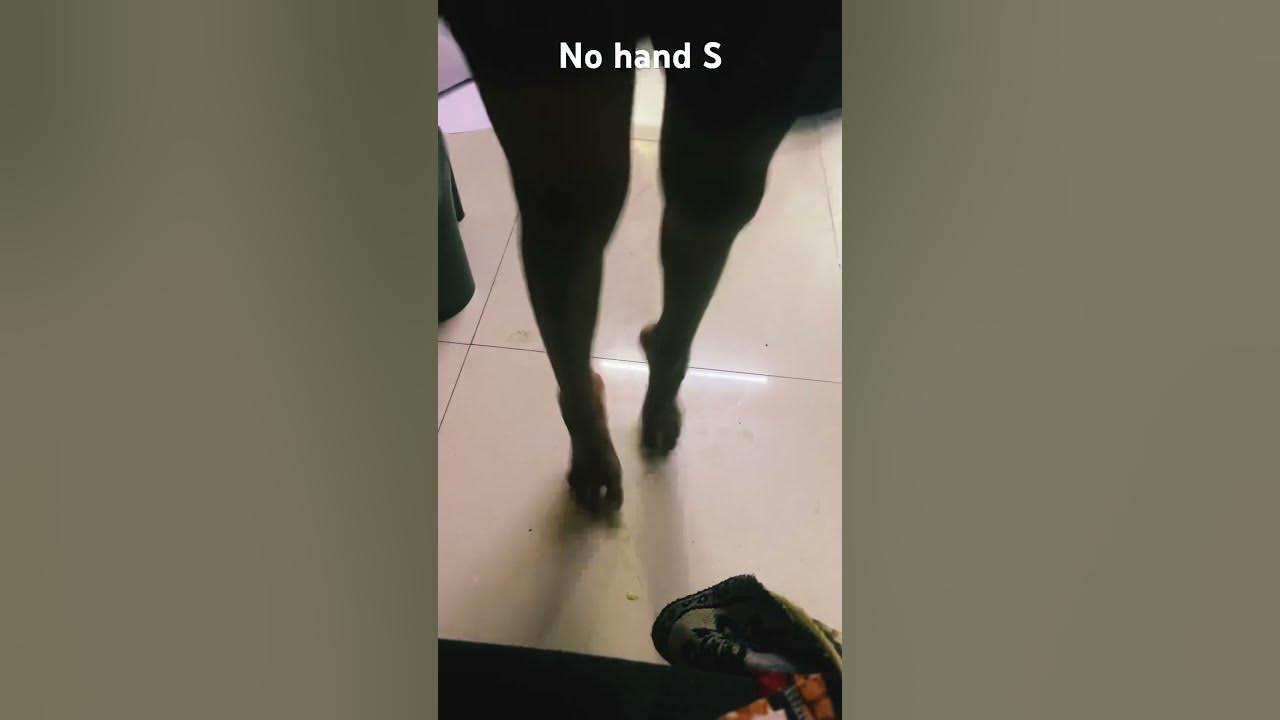 6 September 2024 - YouTube