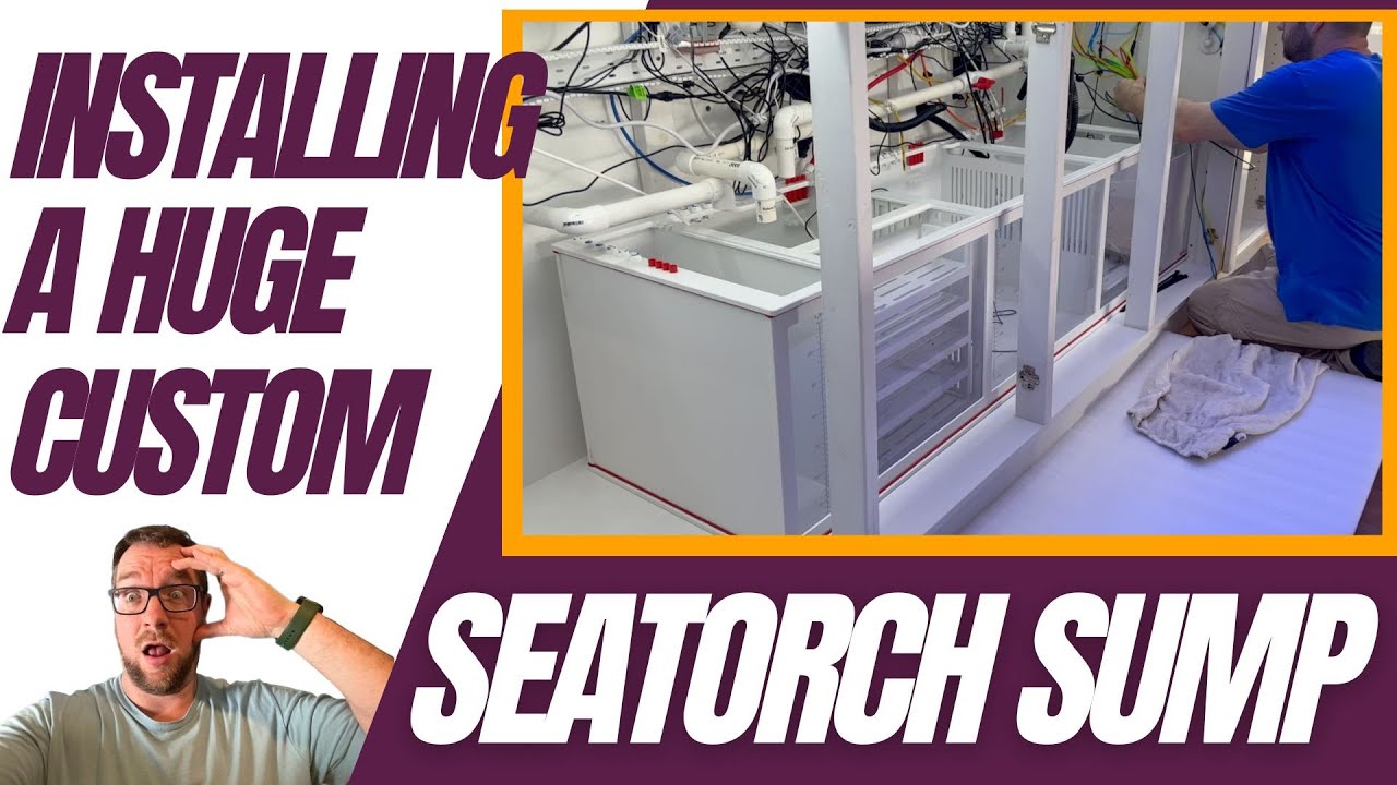 Installing A HUGE Custom SeaTorch Sump! - YouTube