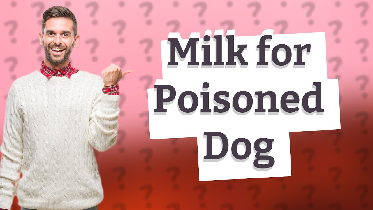 Does milk help a poisoned dog? - YouTube