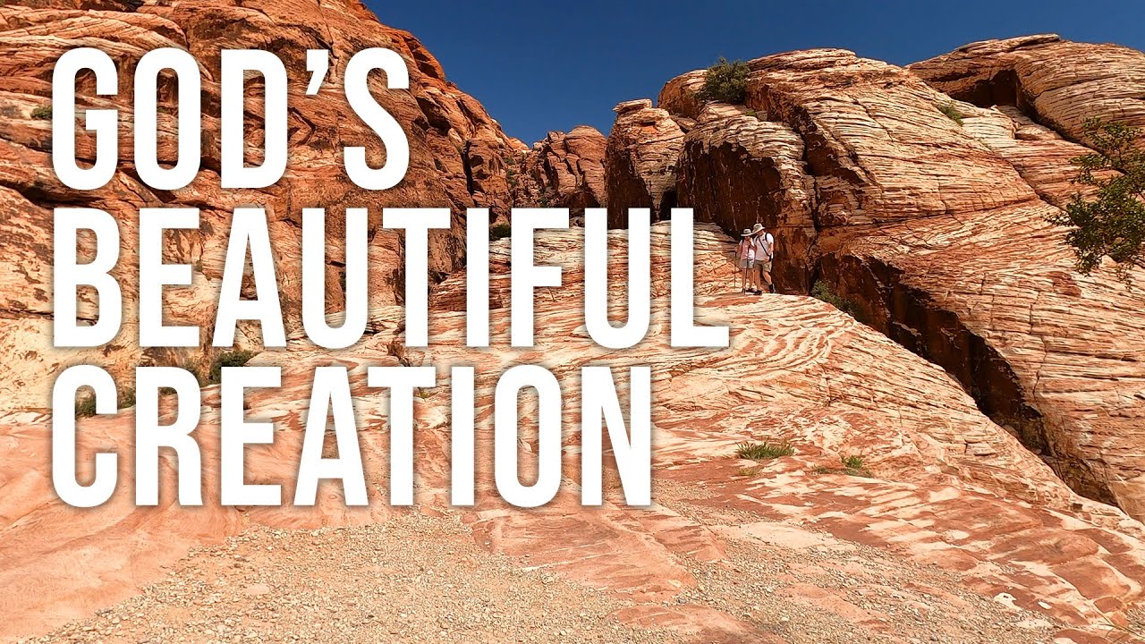 Beautiful Creation Of God Quotes God Beautiful Quotes | TikTok