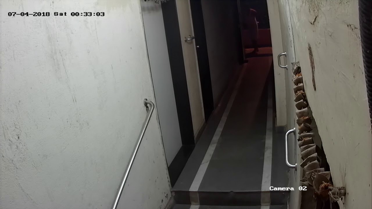 August 15, 2018(166) - YouTube