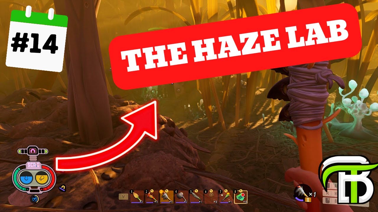 THE HAZE LAB | Grounded #14 - YouTube