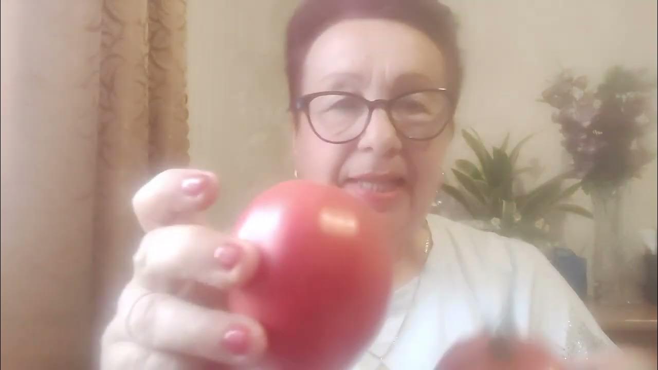 томат знаменитая клубника миссис шлаубах на 1 октября 2023 г - YouTube