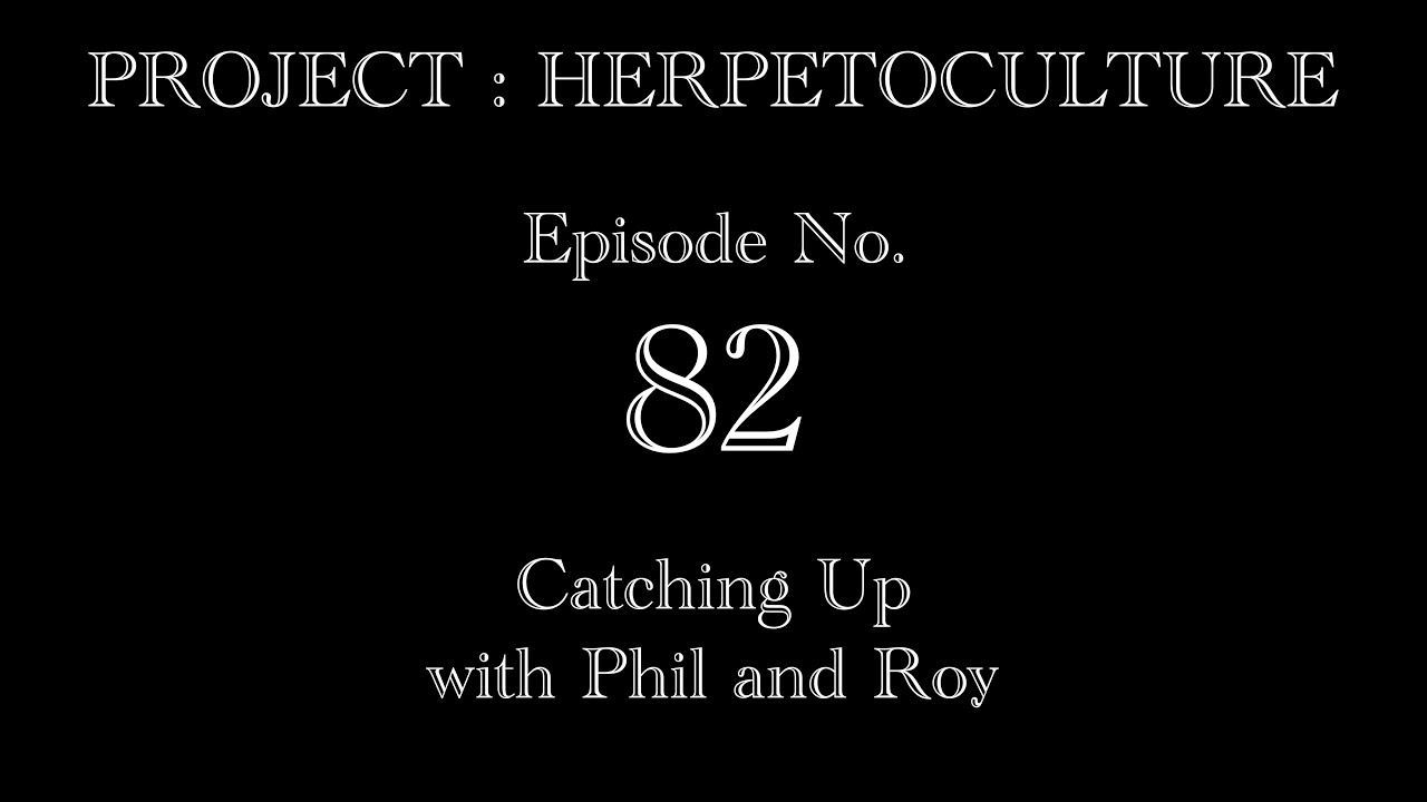 Project: Herpetoculture, Episode No. 82: Catching Up w/ Phil and Roy ...