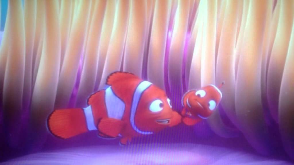 Marlin And Nemo At The Beginning Youtube