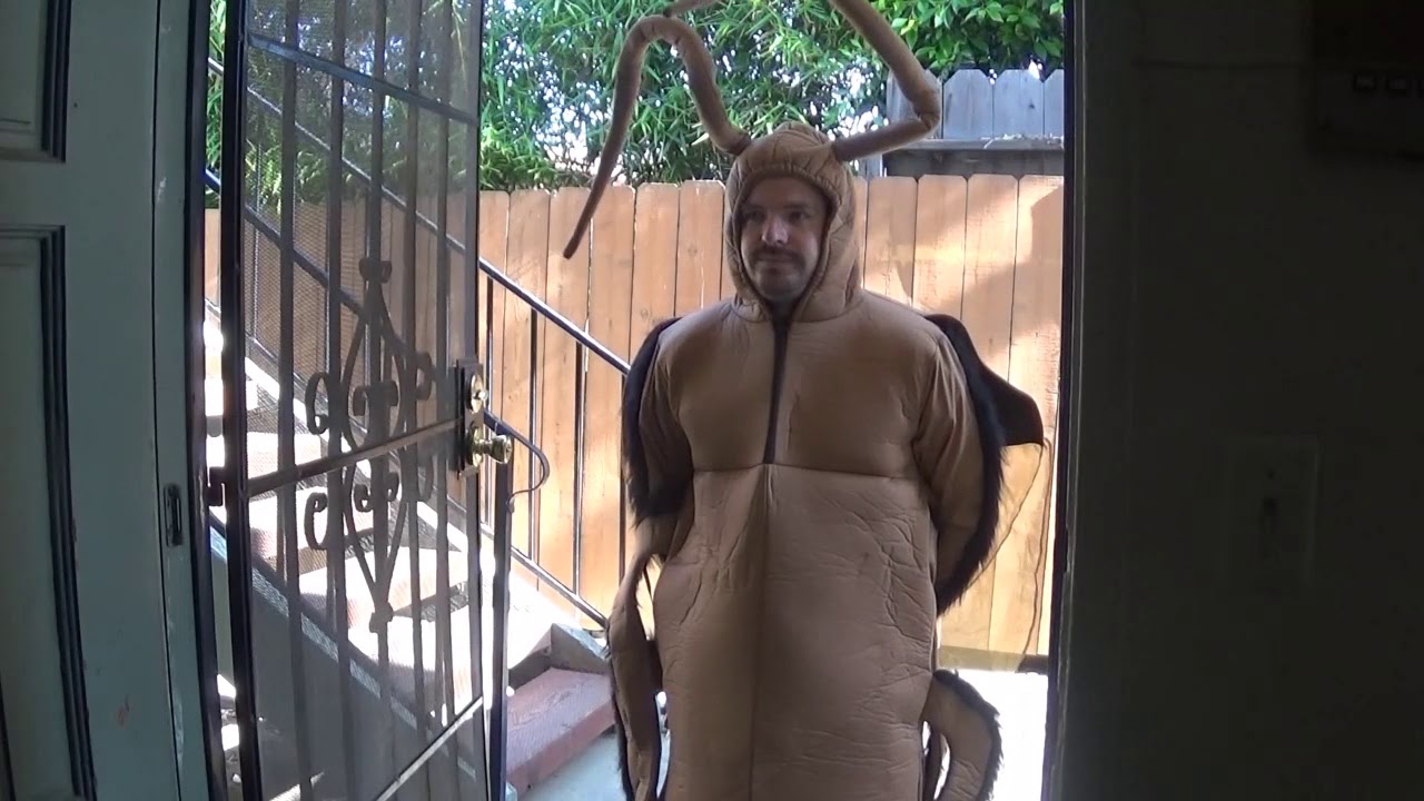 My Best Friend Roach #3 - YouTube