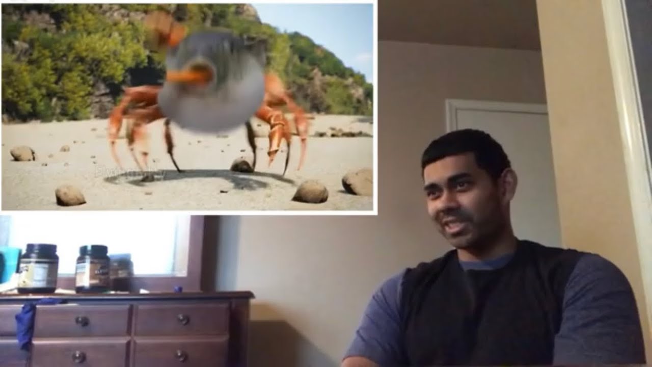 PufferFish Rave Flyingkitty Reaction - YouTube