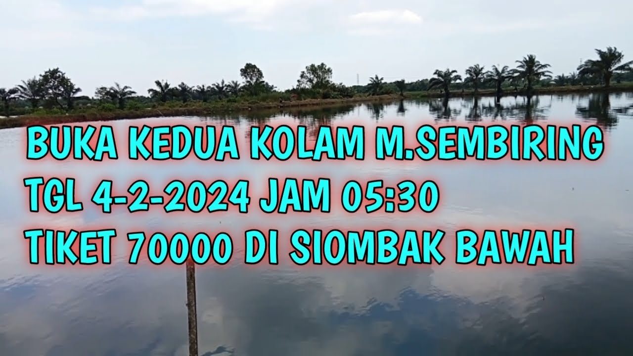 Buka kedua kolam perdana m sembiring tgl 4 feb 2024 di siombak bawah ...