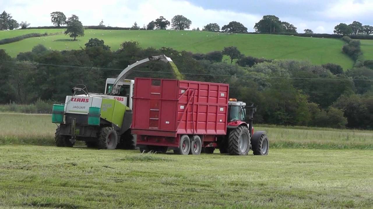 Silage 2011 - Whole Crop Barley with Claas 900 - YouTube